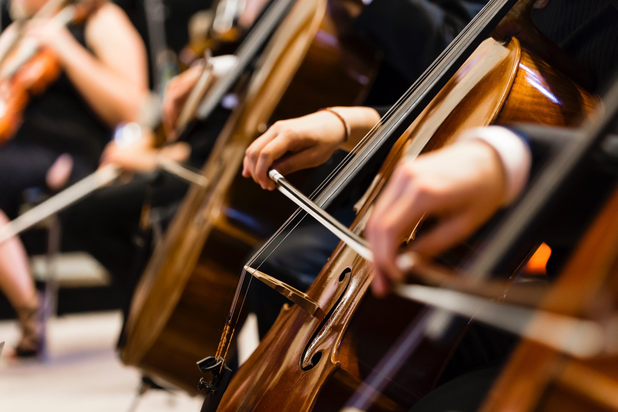 Schenectady-Saratoga Symphony Orchestra Organization - Schenectady ...